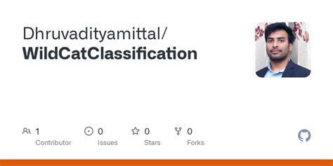 Github Dhruvadityamittal Wildcatclassification