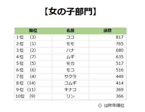 犬の名前の付け方♪ 人気な名前ランキング2020も大発表！｜anicom You（アニコムユー）
