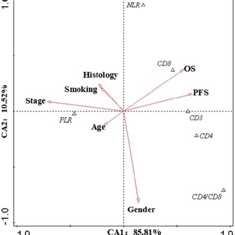 Canonical Correlation Analysis The Canonical Correlation Analysis
