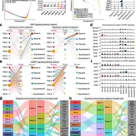 Application Of CellChat To Communications Between Spatially Colocalized Download Scientific
