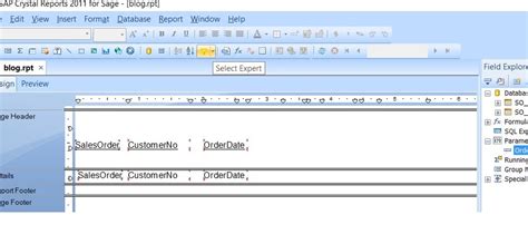 Sage 100 Erp Consultant Tip How To Add A Crystal Reports Parameter