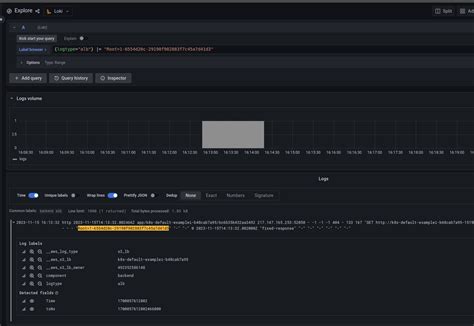 Grafana Loki Collecting Aws Loadbalancer Logs From S3 With Promtail Lambda