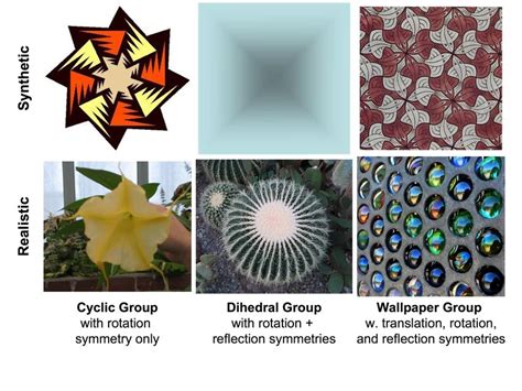Examples Of Images With Rotation Left Column Reflection And Rotation
