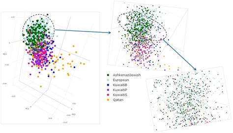 Three Dimensional Principal Component Analysis Pca Plots Showing The