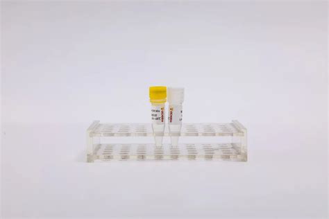 gds fast fragmentation and end prep module k032 buy dna fragmentation