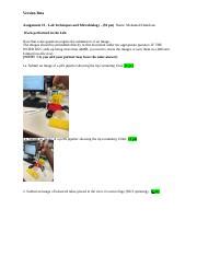 Lab Techniques And Microbiology Assignment Course Hero