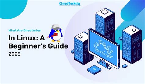 what are directories in linux a beginner s guide 2025