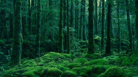 Modernizing Your Mainframe With Advanced Data And Ai From Azure A Smart Move For The Future