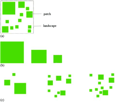 Schematic Representation And Illustration Of Vegetation Fragmentation