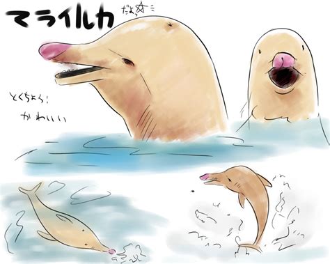 Rule 34 Color Dolphin Front View Japanese Text Male Male Only Multiple Views Nude Side View