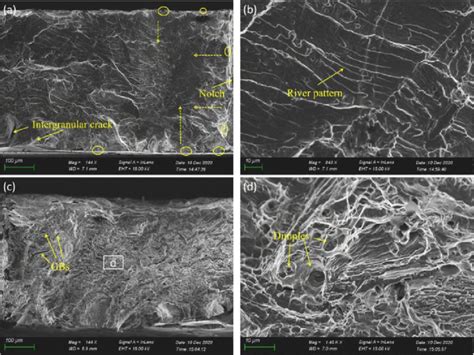 Fractography Of Specimen B 2 700 • C And 280 Mpa A Crack
