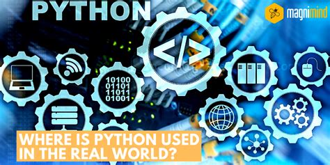 Where Is Python Used In The Real World By Magnimind Magnidata Medium