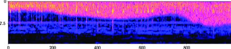 A Sample Echogram From One Of Our Available Cages The Y Axis Shows The Download Scientific