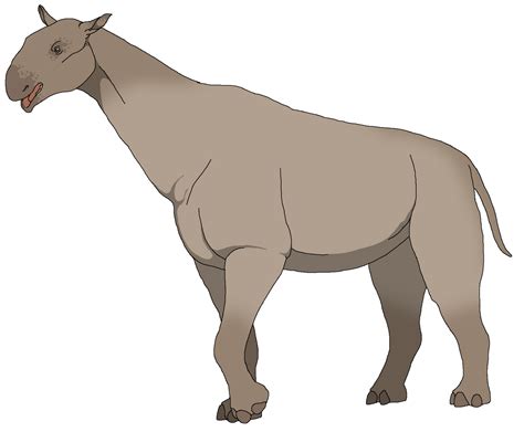 Paraceratherium Blank Template Imgflip