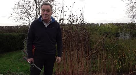 How To Prune Herbaceous Perennials With Pots Trowels Darlac Ltd