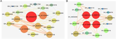 Co Expression Network Analysis A Co Expression Network Analysis