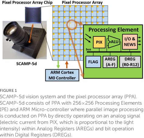 figure 1 from on sensor binarized cnn inference with dynamic model