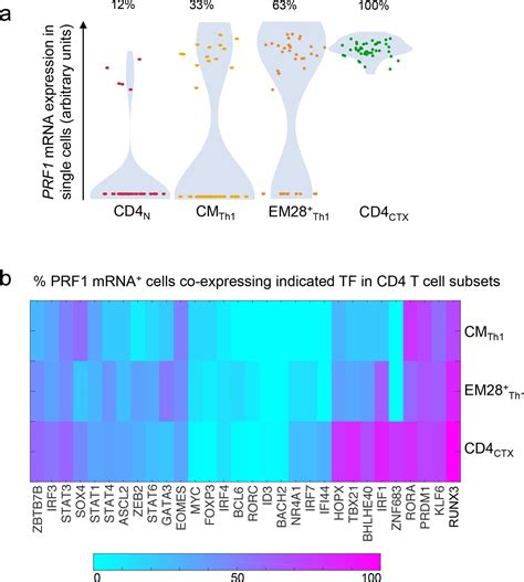 The Transcription Factors Runx3 And Thpok Cross Regulate Acquisition Of