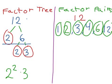 ShowMe Factor Trees