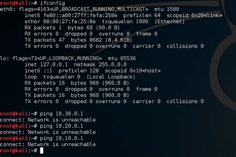 VLAN Tagging In Kali Linux Connecting To Trunked Ports