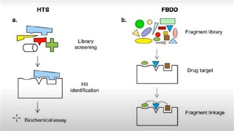 Fragment Based Drug Design Pptx