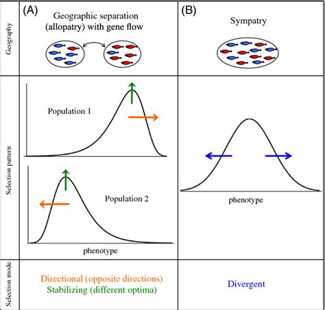 sexual selection graph