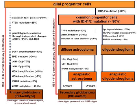 Current And Future Trends On Diagnosis And Prognosis Of Glioblastoma