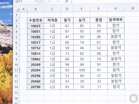 엑셀 고급 필터로 조건에 맞는 데이터 추출하기 네이버 블로그