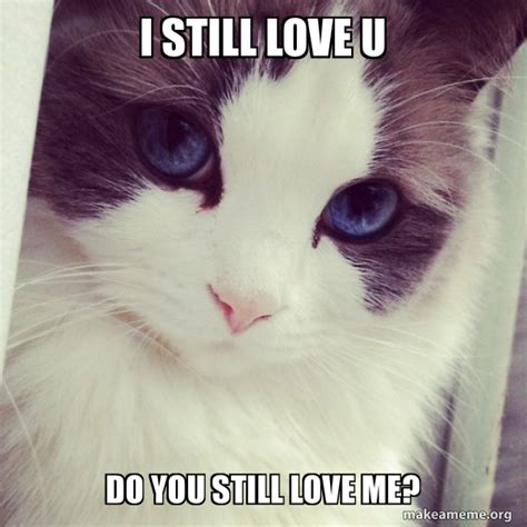 Still Love You Meme 20 Love Memes For Every Occasion Funny I Love