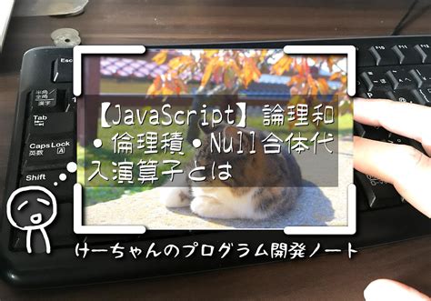 【javascript】論理和・倫理積・null合体代入演算子とは