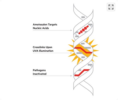 Pathogen Reduction Intercept Usa