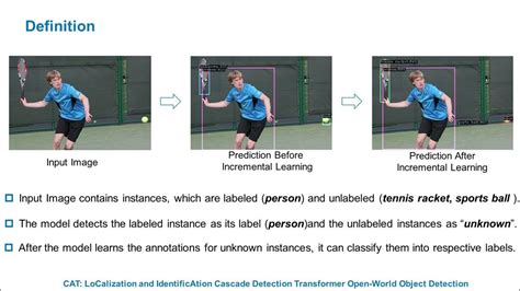 Cat Localization And Identification Cascade Detection Transformer For Open World Object