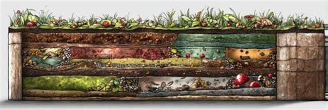 Compost Bin Cross Section Showing Animated Layers Of Decomposition With Organic Materials And