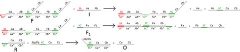 modified fanout gate with fanout degree of two download scientific