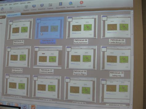 Mr Williams Th Grade Science Blog Bird Migration Project