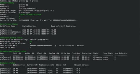 Comparing Kubernetes Operators For PostgreSQL Part CloudNativePG Palark Blog