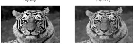 GitHub Erichson RSVD Randomized Matrix Decompositions Using R