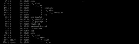 Linux Ps Command Tips Tricks For Advanced Users