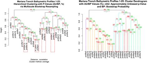 Hierarchical Clustering With P Values Using Multiscale Bootstrap