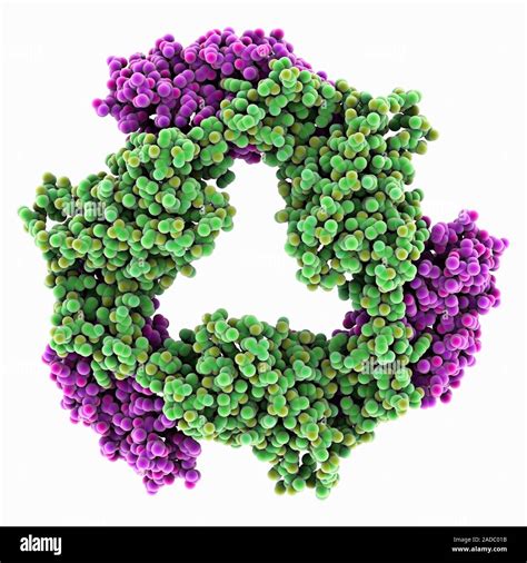 Phycocyanin Molecule Computer Model Showing The Structure Of Phycocyanin From Cyanobacterium