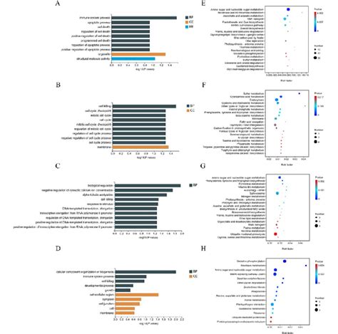 Gene Enrichment Analysis Of Core Modules At Different Time Points A D