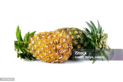 파인애플 풀 사이즈 피스 컬렉션 세트 흰색 고립 된 파인애플 과일 음식 세트 클리핑 경로 0명에 대한 스톡 사진 및 기타 이미지 Istock