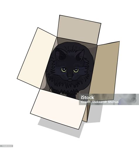 큰 노란 눈을 가진 재미있는 검은 고양이가 골판지 상자에 앉아 있습니다 벡터 그림 흰색 배경 격리 슈뢰딩거의 고양이 개념 경험 및 양자 물리학의 역설 애완고양이에 대한 스톡