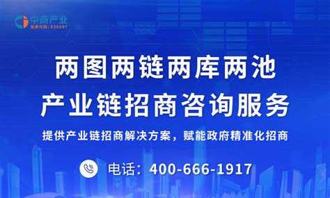 2024年中国体外诊断市场规模及细分领域市场占比情况预测（图） 中商情报网