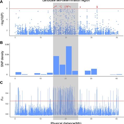 Identification Of Candidate Sex Determination Regions On Chromosome 4