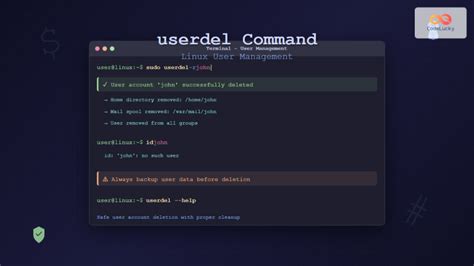Id Command Linux Complete Guide To Display User And Group Ids Codelucky