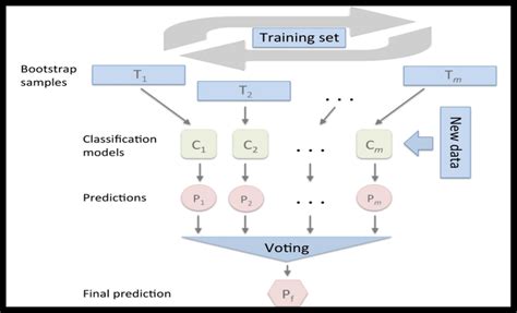 bagging—building an ensemble of classifiers from bootstrap samples