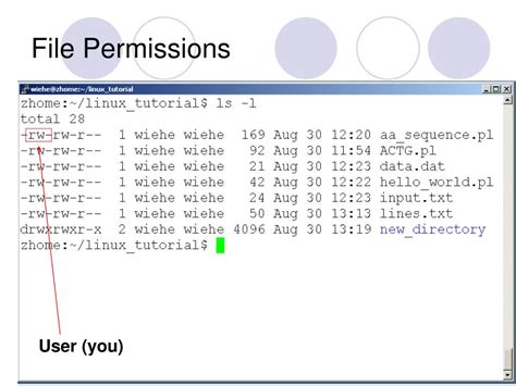 Ppt Learning Unixlinux Powerpoint Presentation Free Download Id