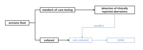 Optical Genome Mapping For Detection Of Chromosomal Aberrations In Prenatal Diagnosis Pmc