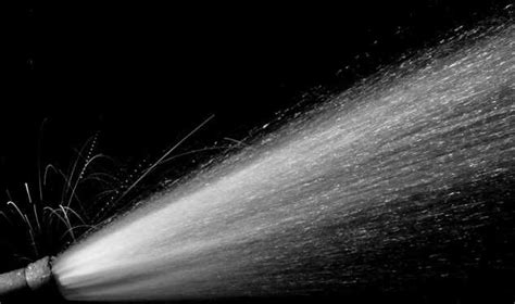 Weirdest Sex Records In The World Photos Romance Nigeria